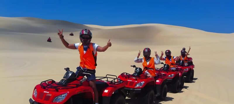 Sydney:Dolphin Watching and Sandboarding in Port Stephens - What Makes This Tour Stand Out?