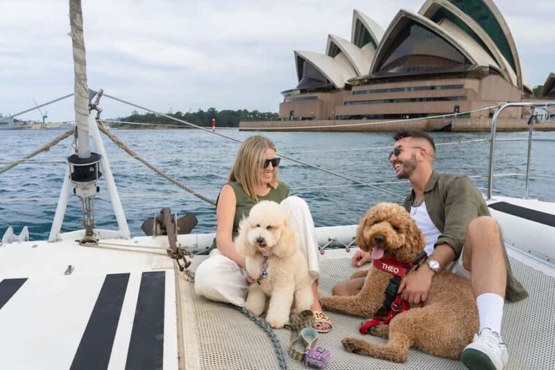 Sydney's 1st Dog Friendly Harbour Cruise: Dogs on Deck - Who Is This Experience For?
