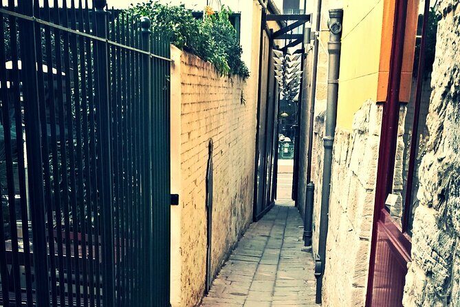 Sydney's Convict and Colonial Past An Evening Walking Tour - Key Points