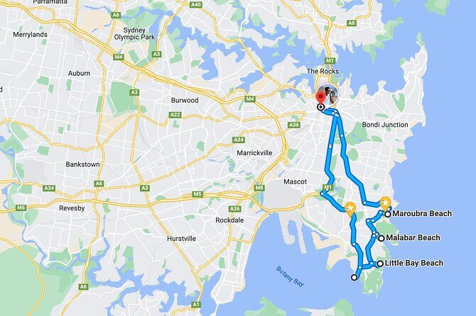 Sydney's Hidden Beach Tour - Why Choose This Tour?