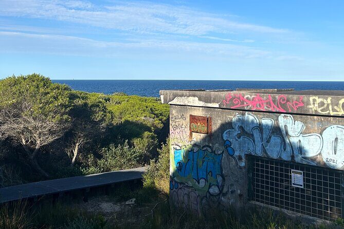 Sydney's Hidden Beach Tour - Who Is This Tour Best For?