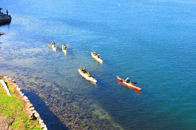 Sydney's Middle Harbour Sea Kayaking Eco Tour (Fully Guided) - Why This Tour Stands Out