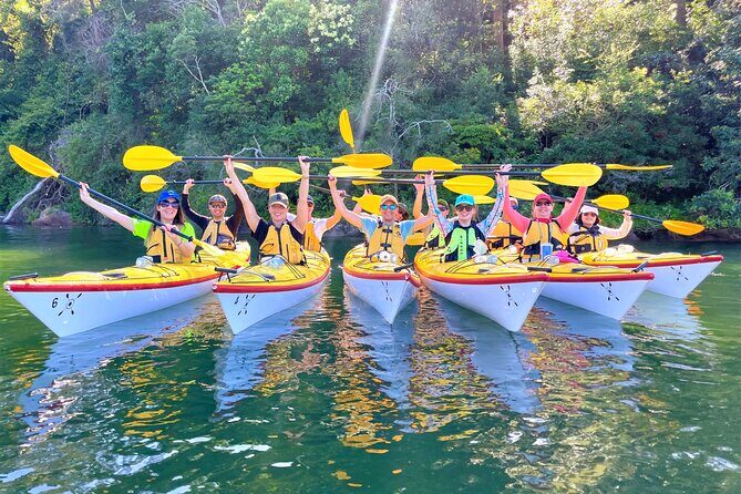 Sydney's Middle Harbour Sea Kayaking Eco Tour (Fully Guided) - Practical Tips for Your Trip