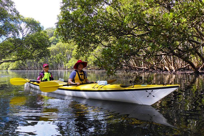 Sydney's Middle Harbour Sea Kayaking Eco Tour (Fully Guided) - Frequently Asked Questions