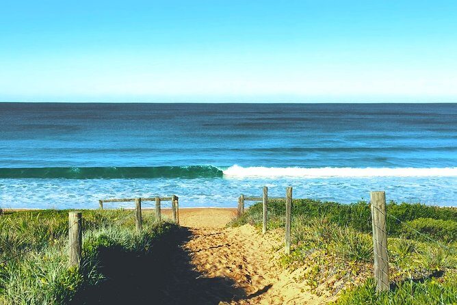 Sydney's Northern Beaches & Ku-ring-gai National Park Small Tour departing Manly - Who Will Love This Tour?