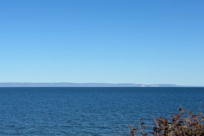 Sydney's Story: From Downtown to Coastline - Reviews and Feedback