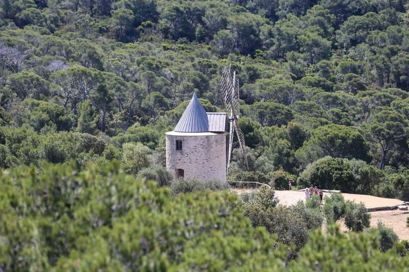 SYE Porquerolles: excursion semi-rigide découverte de l'île - A Deep Dive into the Experience