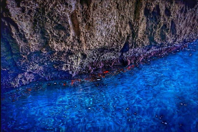Syracuse: boat tour of the sea caves and Ortigia, Papyrus Excursion - What Reviewers Say
