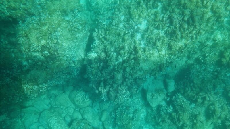 Syracuse: Coast and Sea Caves Full Transparent Boat Tour - The Experience of a Lifetime—In Just 50 Minutes