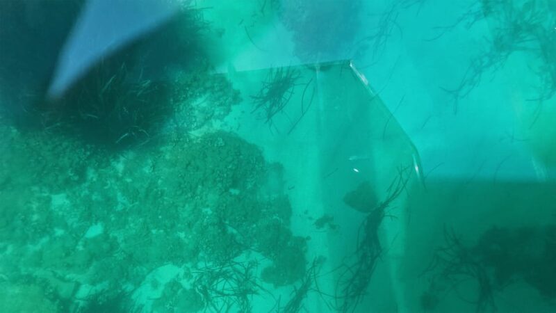 Syracuse: Coast and Sea Caves Full Transparent Boat Tour - FAQs