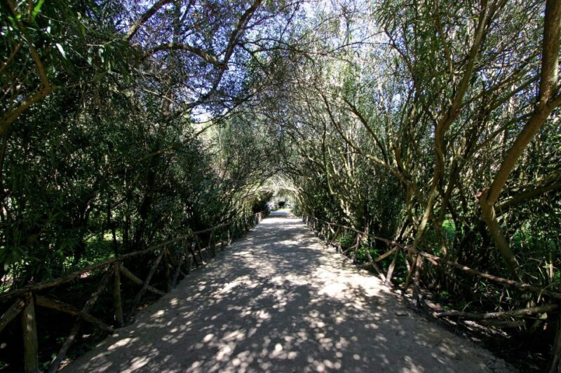 Syracuse: Neapolis Archaeological Park Small Group Tour - The Sum Up: Is This Tour Right for You?