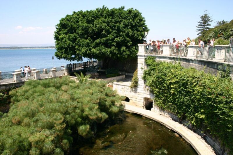Syracuse: Ortigia Classic Walking Tour - An In-Depth Look at the Syracuse Ortigia Walk