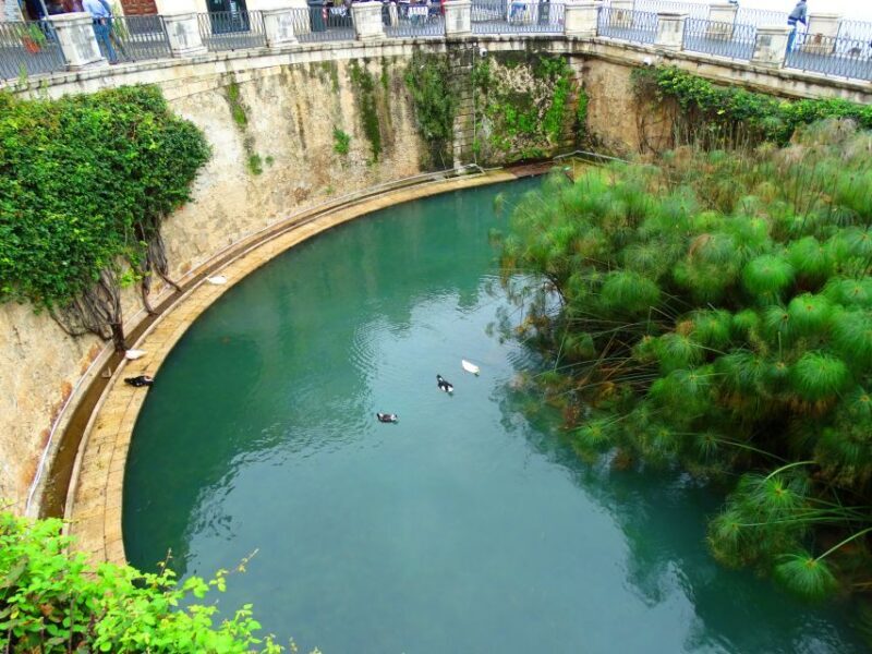 Syracuse: Ortygia & Neapolis Archaeological Park Guided Tour - FAQ