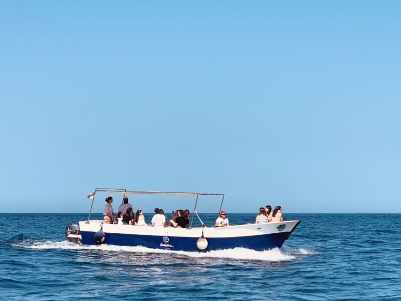 Syracuse: Pillirina, Ortigia, and Sea Caves Tour by Boat - Key Points
