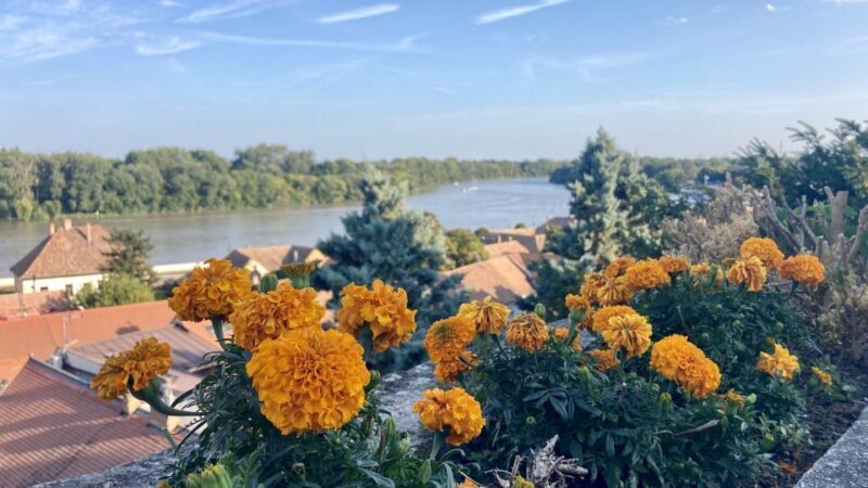 Szentendre: Arts and Cafés Tour (Half-Day Private Tour) - What Travelers Say: Authentic Insights