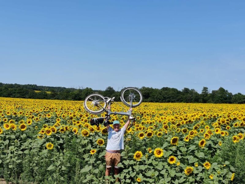 Szentendre by Bike: Self Guided Bike Rental Package! - The Sum Up