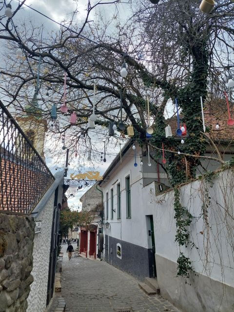 Szentendre: Half-Day Private Tour from Budapest - An In-Depth Look at the Tour Experience