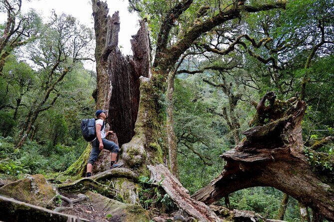 Ta Lien Son 2-Day Trekking Adventure from Hanoi - FAQ