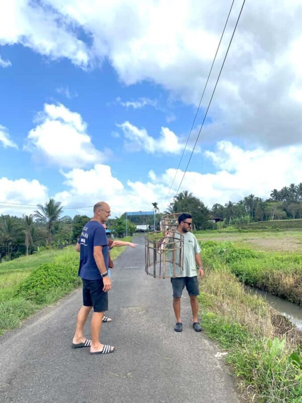 Tabanan: Belimbing Rice Terrace Trekking & Local Life Tour - Exploring Bali’s Hidden Side