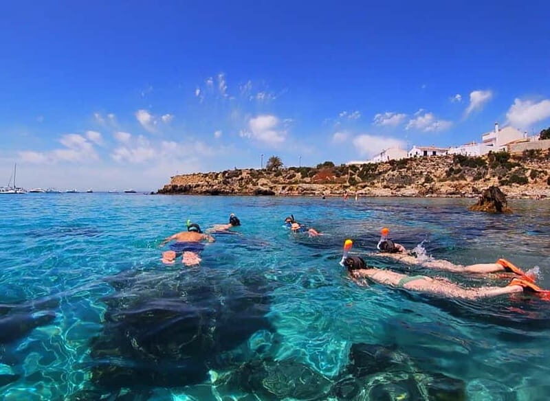 Tabarca Island: Guided Snorkel Excursion - Why This Snorkeling Tour Stands Out