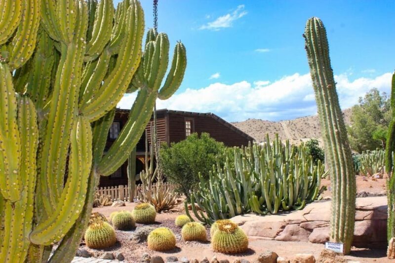 Tabernas: MiniHollywood Oasys Entry Ticket & Optional Buffet - Key Points