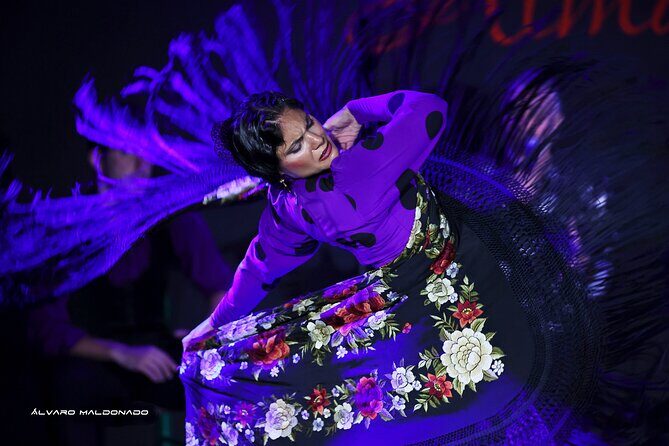Tablao Flamenco Alma - Live Flamenco Show - What to Expect at the Flamenco Performance