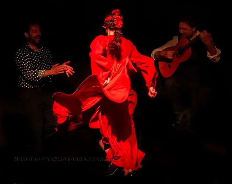 Tablao Flamenco La Exclusiva in Seville and Tinto de Verano - Introduction