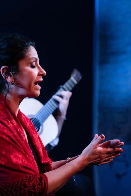 Tablao Flamenco La Exclusiva in Seville and Tinto de Verano - The Performance: What Can You Expect?