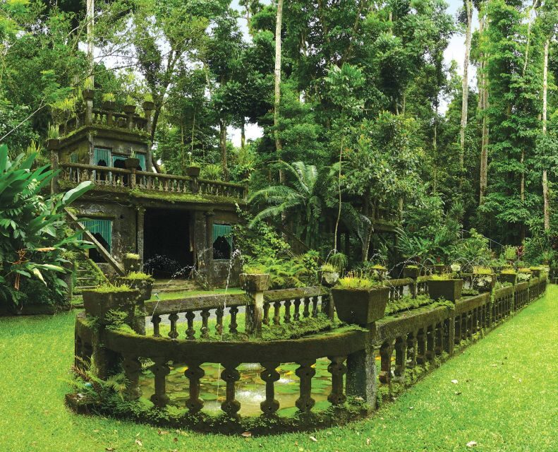 Tablelands Sights & Daintree Rainforest - What’s Included and What’s Not