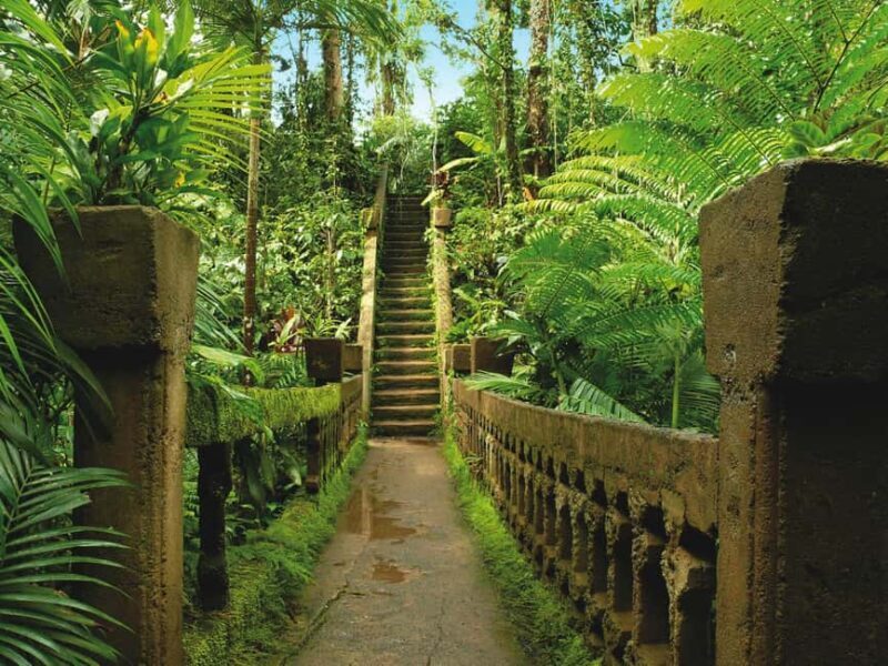 Tablelands Sights & Daintree Rainforest - Who Should Consider This Tour?