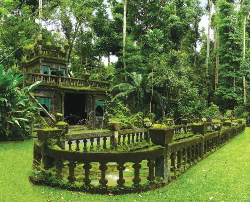 Tablelands Sights & Daintree Rainforest - FAQ