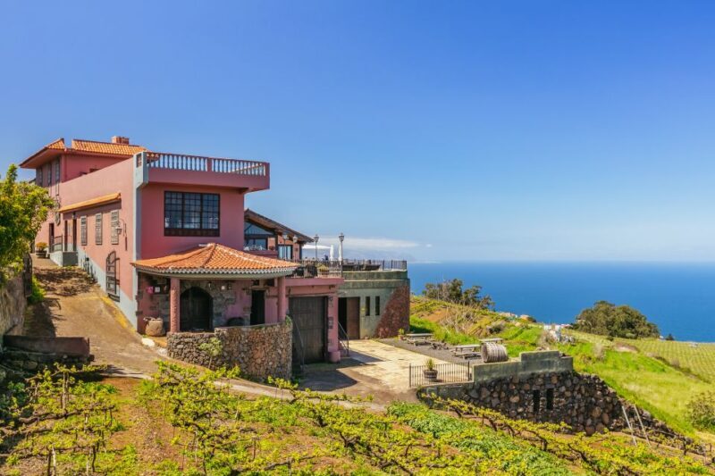 Tacoronte: Guided Winery Tour with Wine and Cheese Tastings - A Detailed Look at the Tacoronte Winery Tour
