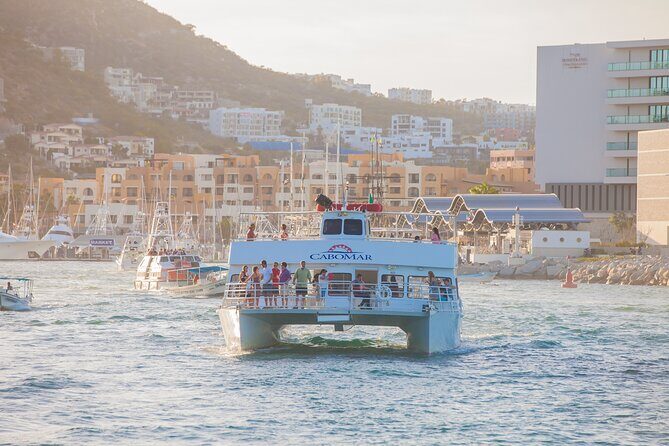 Tacos buffet & Open Bar Cruise! Los Cabos Round Transportation - Who Should Consider This Tour?