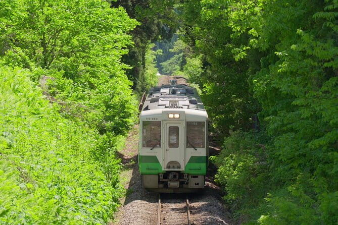 Tadami Line Tour and Private Boat Night Tour of Mugenkyo Ravine - An In-Depth Look at the Experience