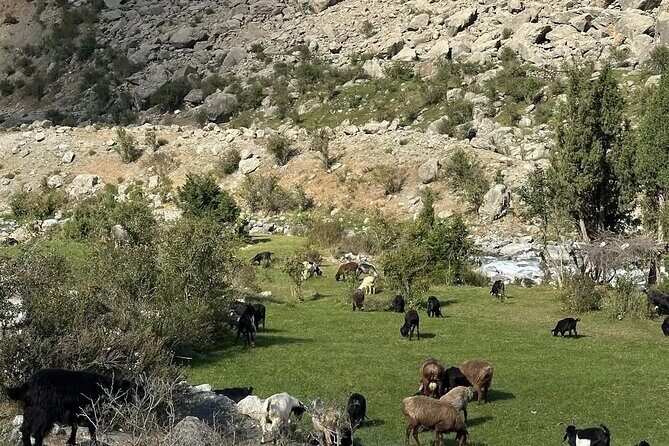 Tadjikistan 7 Lakes Day Trip from Samarkand with Lunch - Key Points