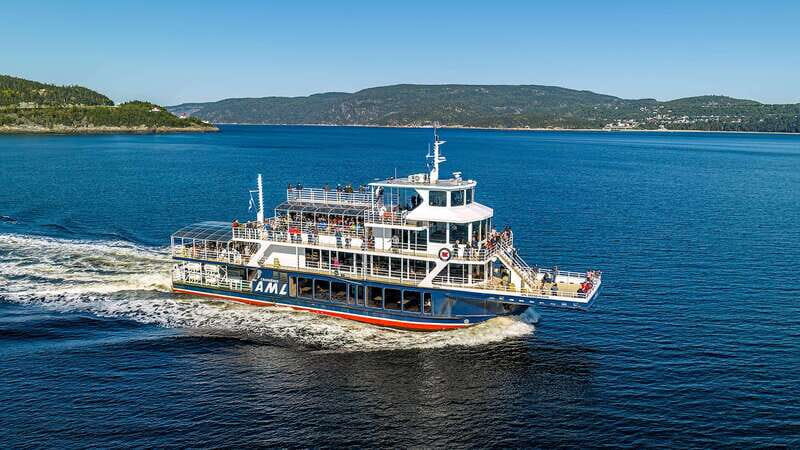 Tadoussac/Charlevoix: 3-Hour Whale Watching Boat Tour - The Experience: What to Expect on Your Whale Watching Trip