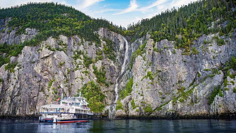Tadoussac/Charlevoix: 3-Hour Whale Watching Boat Tour - The Bottom Line: Is It Worth It?