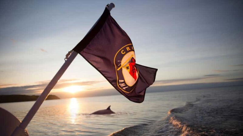 Tadoussac/Charlevoix: Whale & Fjord Morning or Twilight Tour - An In-Depth Look at the Experience