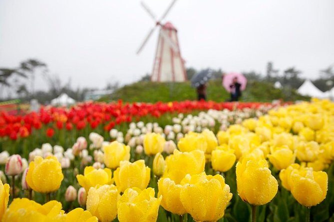 Taean Tulip Festival & Strawberry Picking Day Tour from Seoul - Key Points