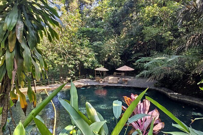 Tagaytay + Hidden Valley Springs: A Scenic Escape w/ Transfers - What Do Past Travelers Say?