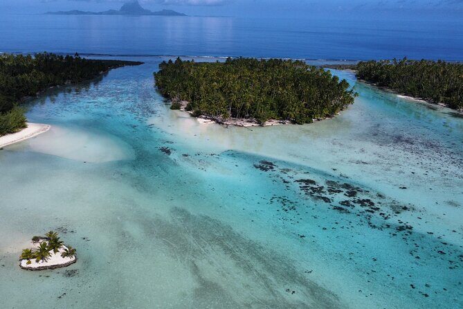 Tahaa Excursion in Electric Paddle Snorkeling Coral Garden - The Value of the Tour: Price and What You Get