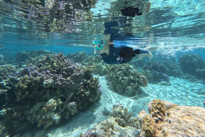 Tahaa Excursion in Electric Paddle Snorkeling Coral Garden - Practical Considerations and Tips