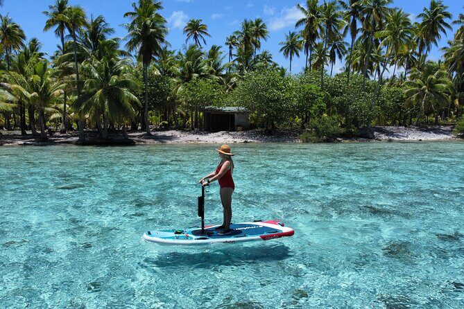 Tahaa Excursion in Electric Paddle Snorkeling Coral Garden - Why This Tour Is a Great Choice