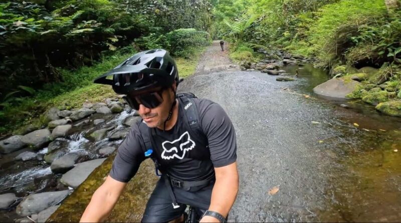 Tahiti E-bike, mtb, vtt Tour with Swimming and Lunch - Key Points