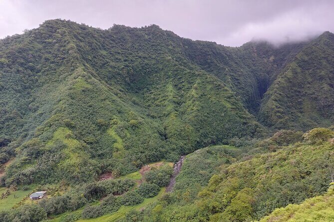 Tahiti Fautaua Valley and Big Waterfall Private Hiking Tour - What’s Included and What’s Not
