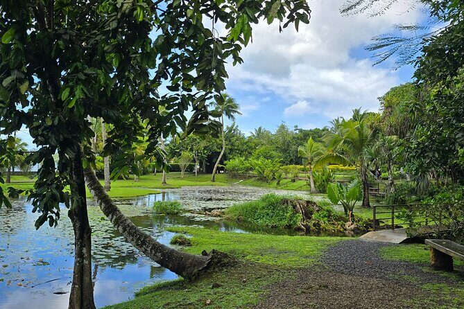 Tahiti Full Day Private Coastal Tour - Final Thoughts: Who Should Consider This Tour?