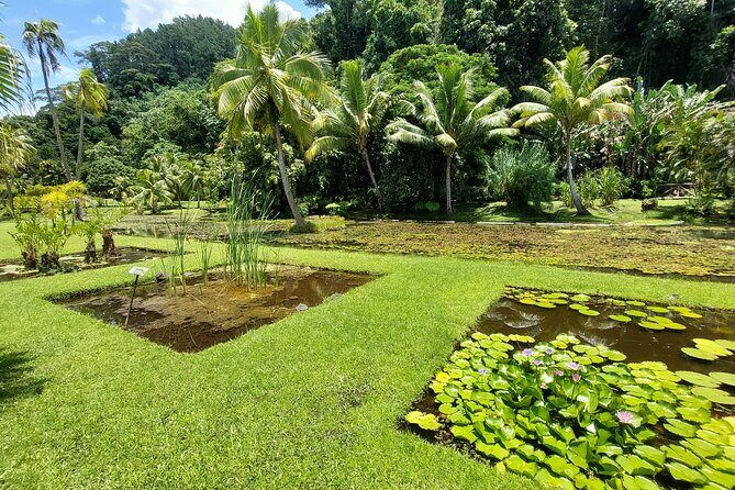 Tahiti Full Day Private Coastal Tour - An In-Depth Look at the Tour Itinerary