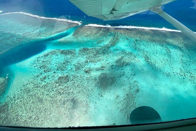 Tahiti: Full Day Tour with Private Flight EN Cessna (Moorea & Tahiti) - Who Will Enjoy This Tour?