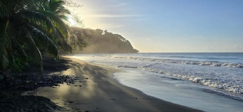 Tahiti: Northeast Coast Waterfalls&Viewpoints Half Day Tour - Value and Cost Analysis