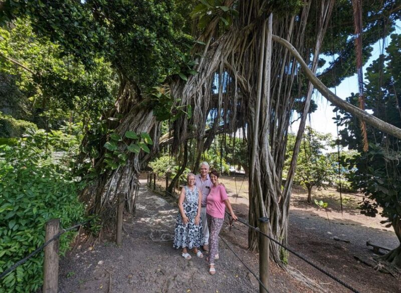 Tahiti Private Half Day Tour. Nature, history and culture - Key Points